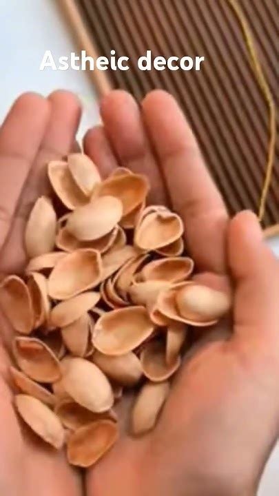 Astheic Decor Trending Shorts Trending Viralvideo Youtube