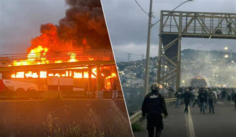 Жестока пресметка помеѓу навивачите на Палмеирас и Крузеиро Алсат ТВ