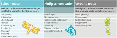 Wateronderzoek Ivn