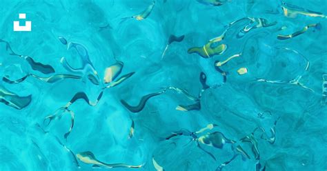 물속에서 헤엄치는 물고기 무리 사진 Unsplash의 무료 바다 이미지