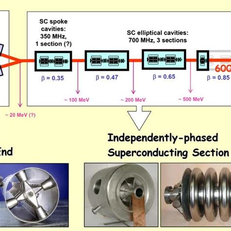 Neutron Capture And Fission Cross Sections As A Function Of The Neutron Download Scientific