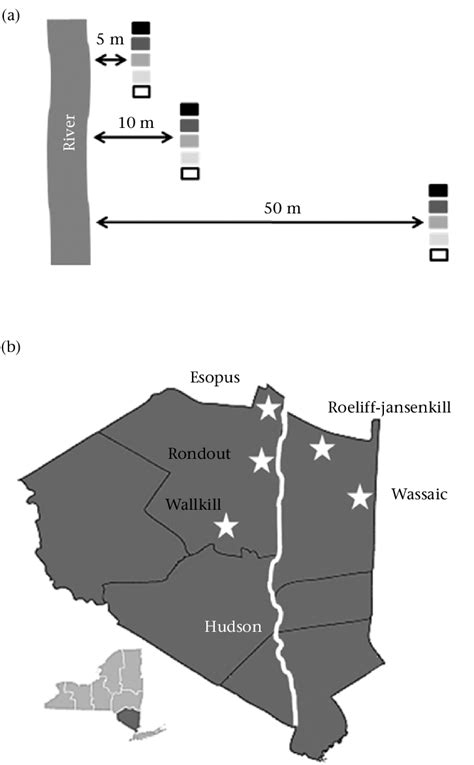 A The Spatial Arrangement Of Oil Filled Polarization Traps Of Five Download Scientific