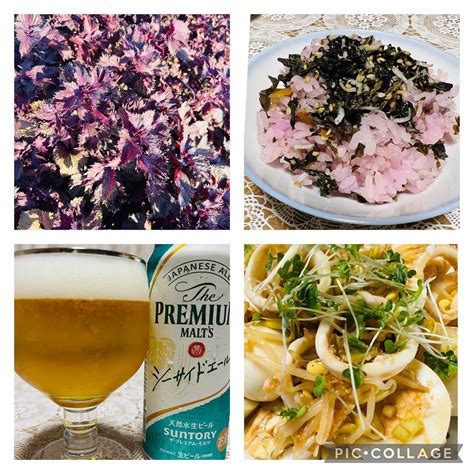 Ohashi Junko 今この季節、水の張った田んぼに苗が植わって、水田は湖のようになり夜になると煌めいた月明かりがより一層水田に美しく