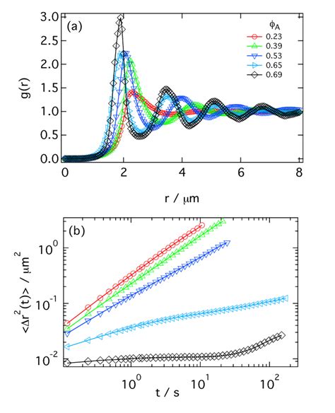 A Radial Distribution Function G R And B Mean Square Displacement