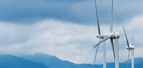 Τα Μέλη μας Cwea