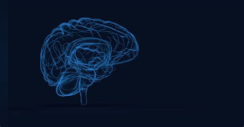 Cellular Housekeeping Process Implicated In Fatal Neurological Disorder