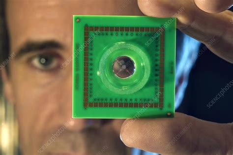 Micro Electrode Array Biochip Stock Image C0116869 Science Photo