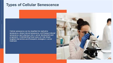 Types Of Cellular Senescence Senescence In Cancer Ppt Slides Acp Ppt Slide