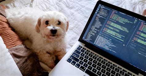 Exploring Javascripts Prototype Inheritance Model