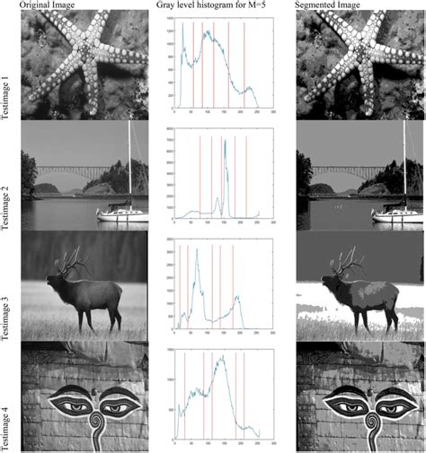 All Test Images With Histogram With Corresponding Optimal Thresholds