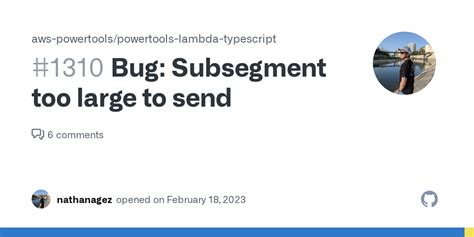Bug Subsegment Too Large To Send · Issue 1310 · Aws Powertoolspowertools Lambda Typescript