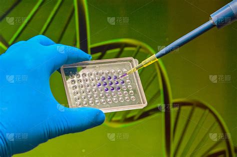 基因组学领域的研究