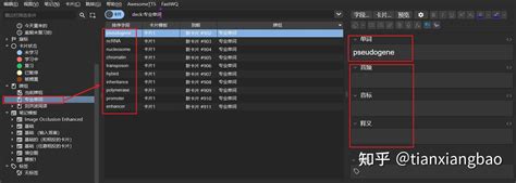 使用anki快速制作单词卡片 知乎