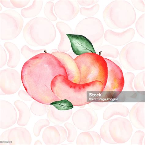 잎이 있는 흰색 배경에 고립된 수채화 복숭아 잘 익은 육즙이 많은 복숭아 과일 건강한 식생활 개념을 위한 수채화 그림 0명에 대한 스톡 벡터 아트 및 기타 이미지 Istock