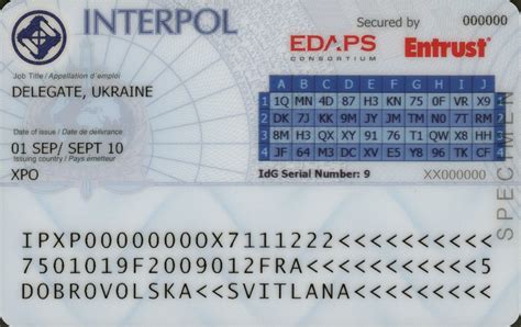 Interpol Identification Card Rpassportporn