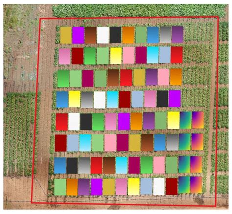 Agriculture Free Full Text Early Estimation Of Tomato Yield By Decision Tree Ensembles