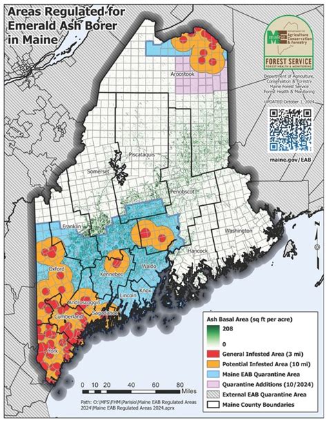 Forest And Shade Tree Insect And Disease Conditions For Maine October 9 2024
