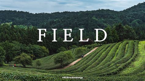 🎧 녹차밭에서 듣는 여름 자연의 소리 자연 풍경과 자연 소리 나만의 힐링 명소 나만의 힐링 시간 4k 자연 힐링 수면 휴식 영상 보성 대한다원 Youtube