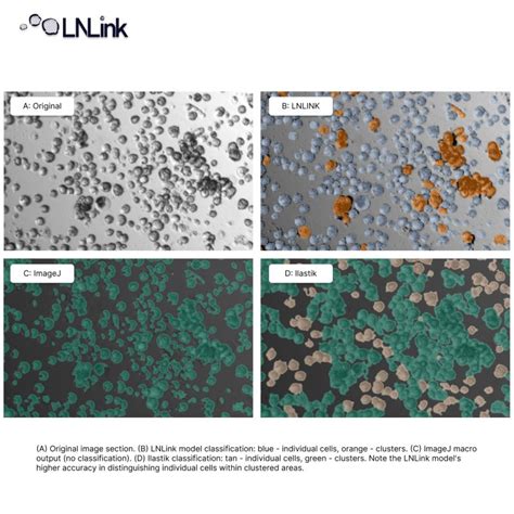 “the Ability To Classify Objects As Individual Cells Or Clusters Provides Fraser Mcdonald