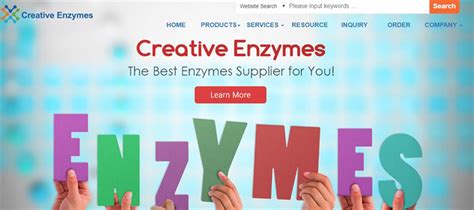 Enzymology Assays Unveils The Secrets Of Enzyme Activity
