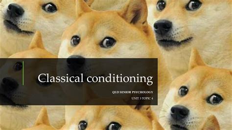 Classical Conditioning Memes Ivan Pavlovs Beard Classical
