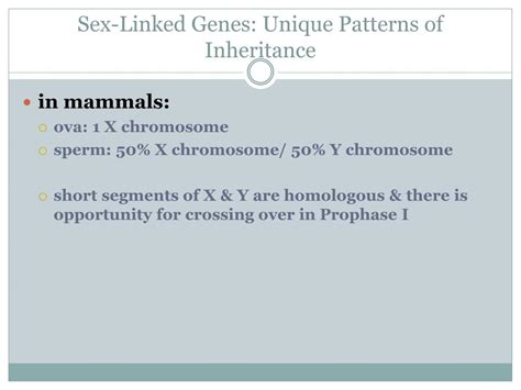 Ppt The Chromosomal Basis Of Inheritance Powerpoint Presentation Free Download Id