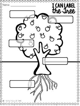 Trees Unit Science Lessons ONLY By Lindsey Goff Viducich TpT