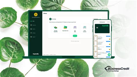 Expensify Card Review A Detailed Expense Tracking Analysis