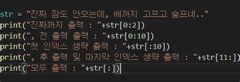 파이썬 기초 5 문자열 네이버 블로그