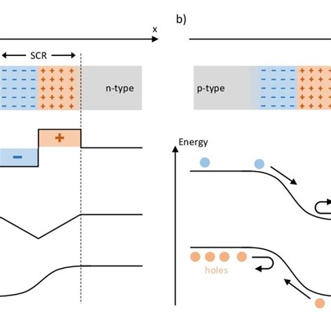 1 Visualization Of A Pn Junction A The Concentration Driven Download Scientific Diagram