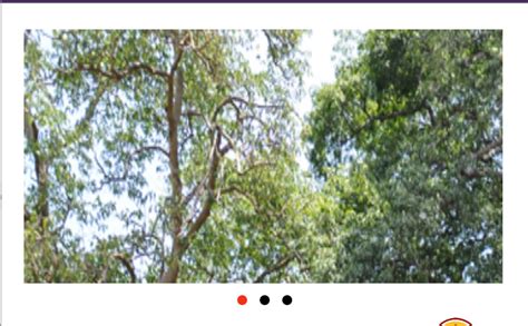 Image Scrollview Swift Kodeco Forums