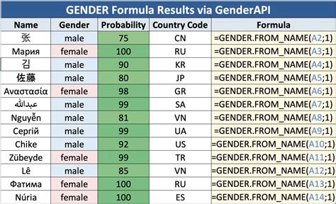 Gender Formule Voor Microsoft Excel Bepaalt Het Geslacht
