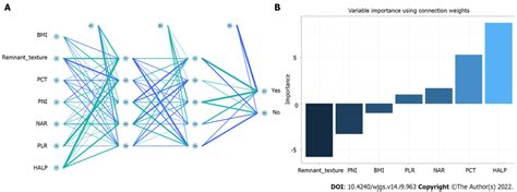 visualization of predictive model based on artificial neural network