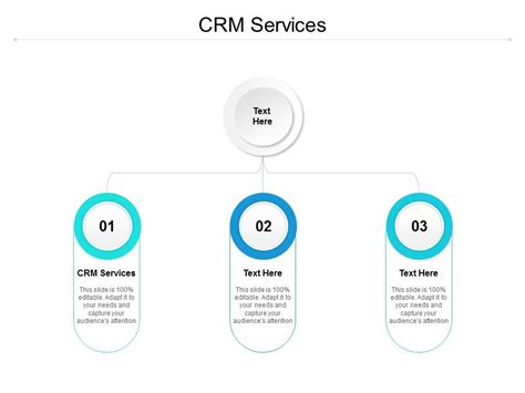 Crm Services Ppt Powerpoint Presentation Summary File Formats Cpb