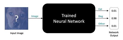 training neural networks for beginners