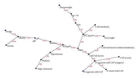 Semantic Connectivity Map Note Semantic Connectivity Map Of The