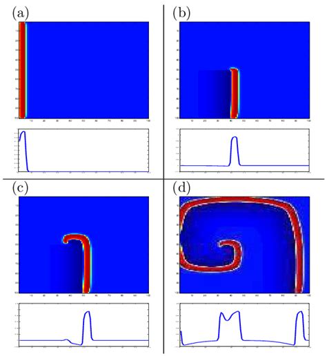 Spiral Wave Produced By The Fitzhugh Nagumo Equations For A T 100s Download Scientific