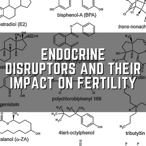 Meaning Endocrine Disruptors At Willie Shelley Blog