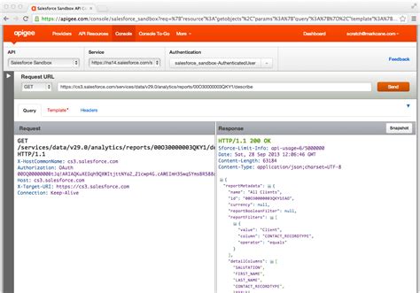Salesforce Analytics Api