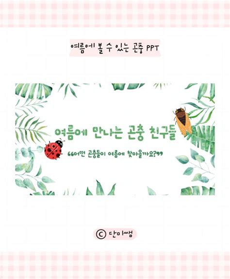 여름 여름에 볼 수 있는 곤충 이야기 나누기 Ppt자료