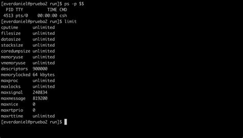 Smoke Run Halts On Temporal Process Run Errors And Warnings Cmas