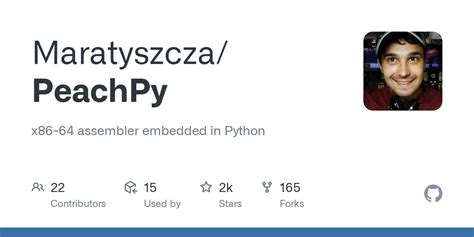 Portable Efficient Assembly Code Generator In Higher Level Python