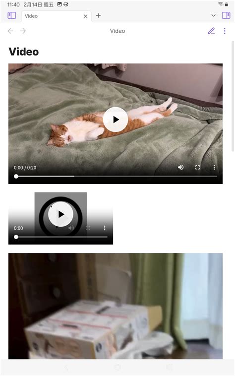 Mp4 Vdeio Files Not Playing On Android Bug Reports Obsidian Forum