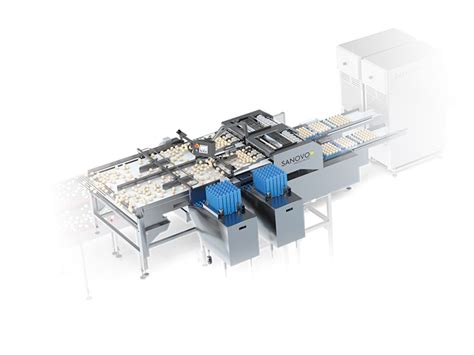 Farmpacker 200 Efficient Egg Packer Machine For Large Farms Sanovo