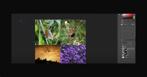 How To Make A Photo Grid In Photoshop