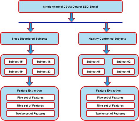 Structural Framework Of The Statistical Feature Extraction Eeg Download Scientific Diagram