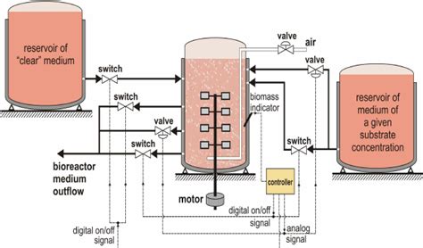 Schematic Diagram Of The Proposed New Bioprocess Download Scientific Diagram