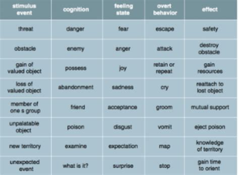 Psych Exam 3 Prep Flashcards Quizlet