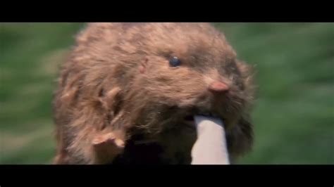 10 Minutes Of Gopher Chucks From Kung Pow Youtube