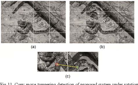 figure 11 from copy move forgery detection algorithm using frequency transforms surf and mser